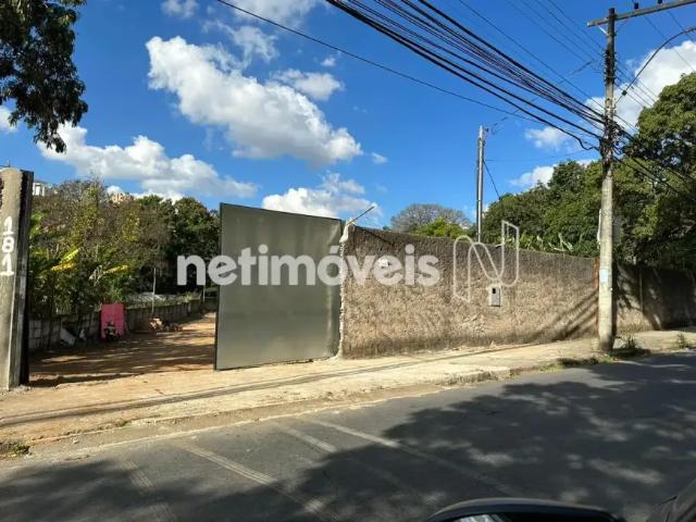Venda Lote Área Terreno Marajó Belo Horizonte