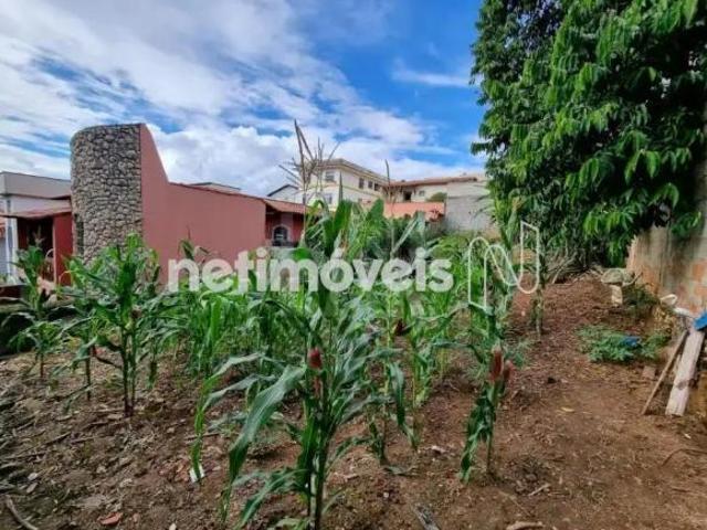 Venda Lote Área Terreno Santa Branca Belo Horizonte