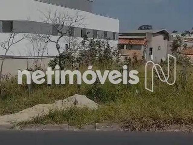 Venda Lote Área Terreno Severina Ribeirão das Neves