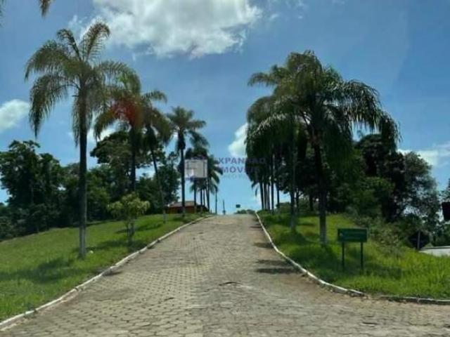 VENDA, LOTE, BOM JESUS DO AMPARO