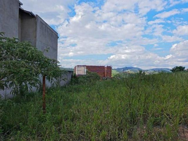 VENDA, LOTE, FLAMBOYANT
