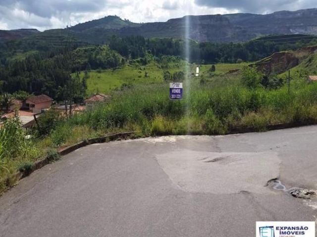 VENDA, LOTE, HAMILTON