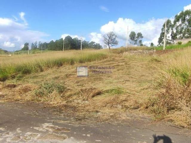 VENDA, LOTE, JARDIM UNIVERSITÁRIO