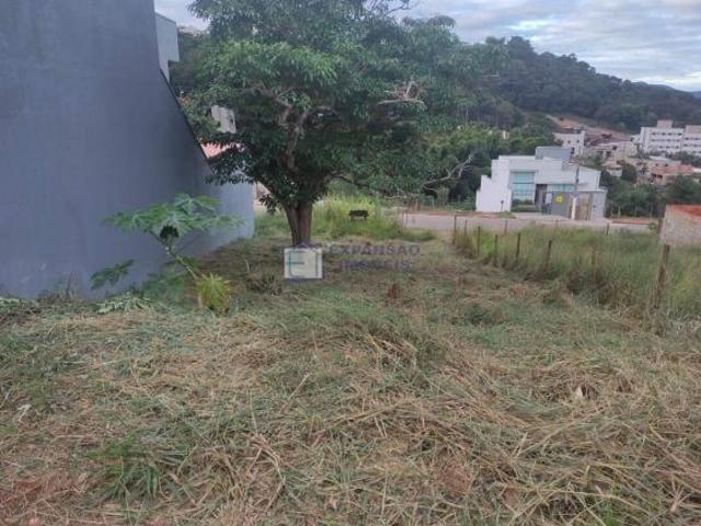 VENDA, LOTE, JARDIM BELVEDERE