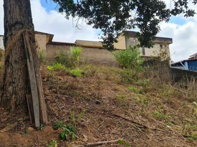 VENDA, LOTE, QUATORZE DE FEVEREIRO