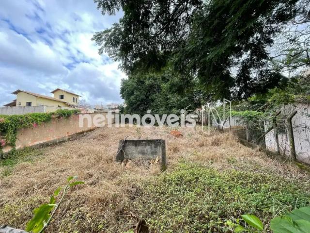 Venda Lote Área Terreno Nossa Senhora Aparecida Florestal