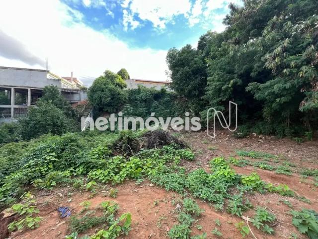Venda Lote Área Terreno Alto dos Pinheiros Belo Horizonte
