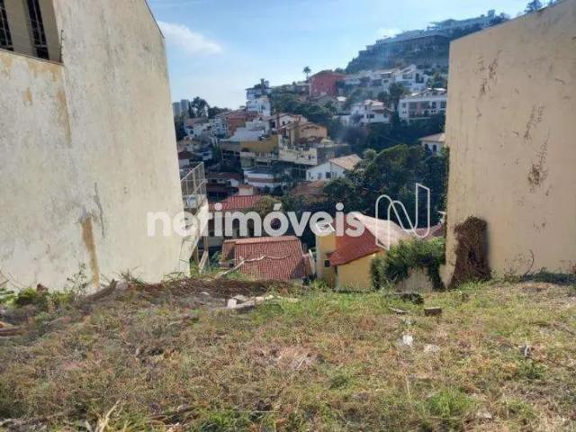 Venda Lote Área Terreno Comiteco Belo Horizonte