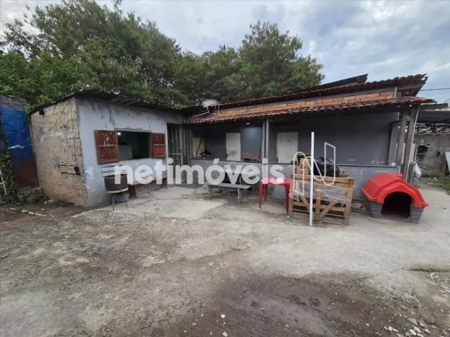 Venda Lote Área Terreno Dona Clara Belo Horizonte