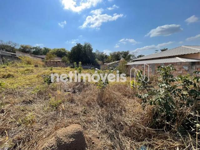 Venda Lote Área Terreno Dona Suzana Florestal