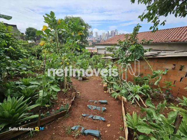 Venda Lote Área Terreno Havaí Belo Horizonte