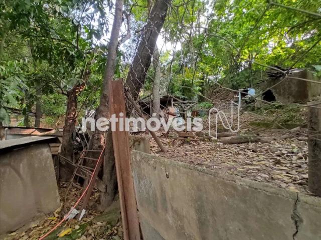 Venda Lote Área Terreno Palmeiras Belo Horizonte