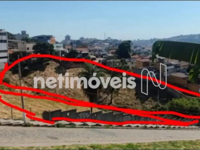 Venda Lote Área Terreno Palmeiras Belo Horizonte