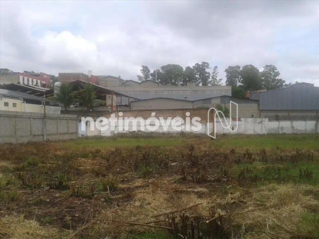 Venda Lote Área Terreno São Francisco Belo Horizonte