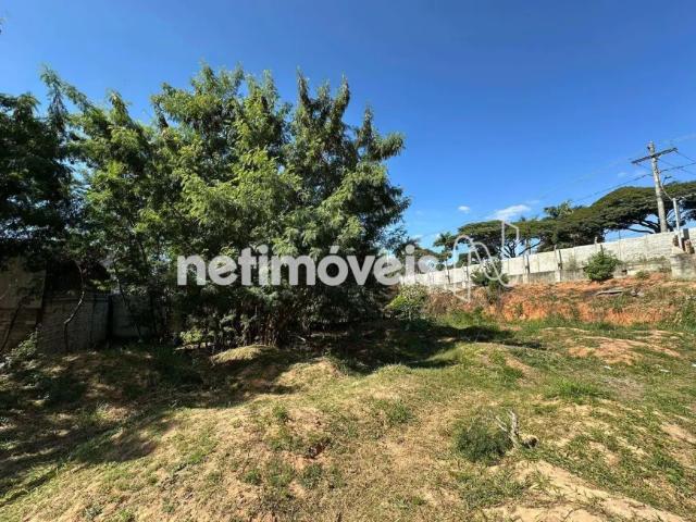 Venda Lote Área Terreno Venda Nova Belo Horizonte