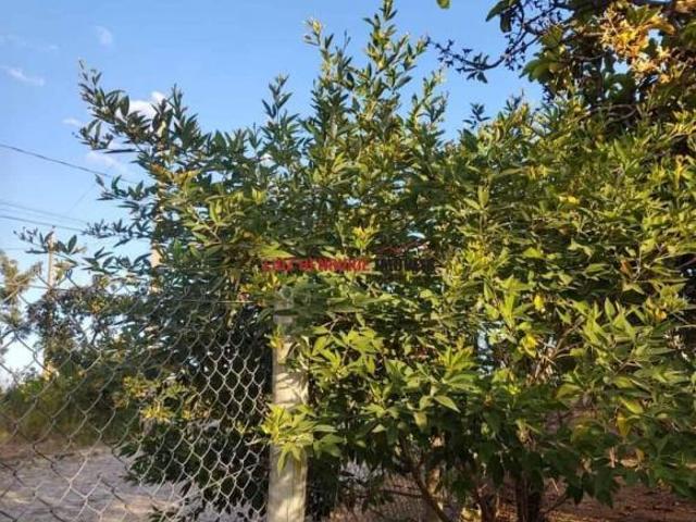 Venda, Rodovia MG 10, RODOVIA MG 10,KM 55 CONDOMINIO CAMINHO DA SERRA, Cond. Caminho da Serra, Ja