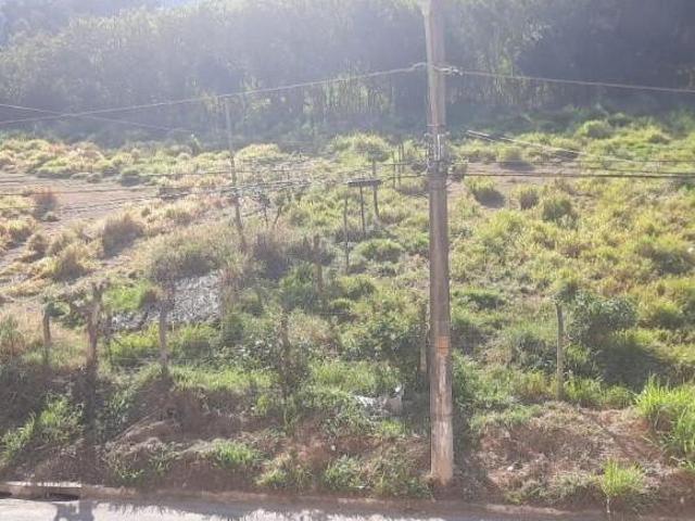 Venda, Rua km 28 da raposo tavares, Pedro Pedro, Parque Rincao, Cotia, SP, Brasil