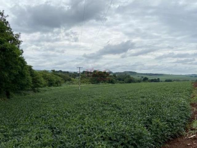 [Venda] – Sítio – Zona Rural, Maringá/PR – A 10 minutos da cidade, com 5,85 alqueires