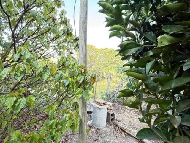Venda, Sítio Campo do Gnetio,, Zona Rural, Itaguara, MG, Brasil