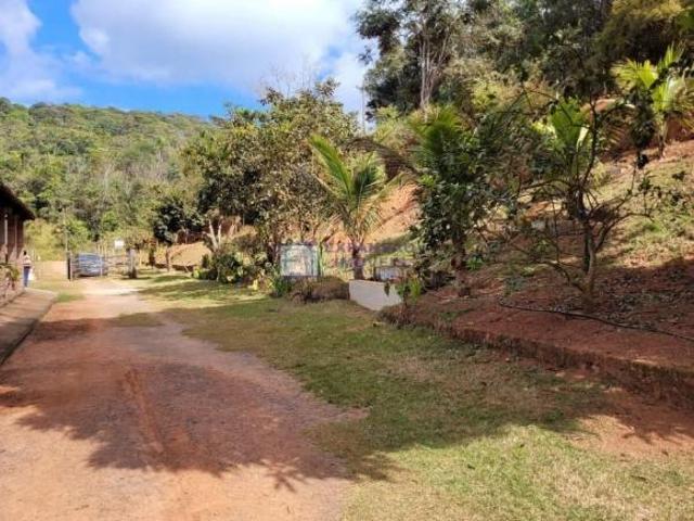 VENDA, SÍTIO, COMUNIDADE DOS GATOS