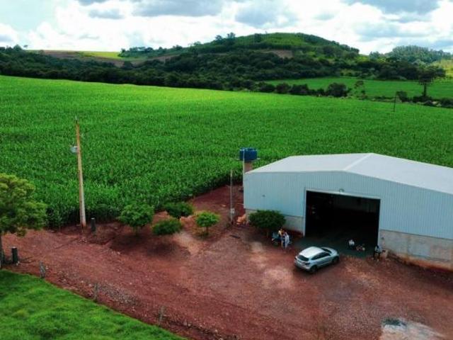 VENDA | Sítio, com 1 dormitórios em São Pedro Do Iguaçu