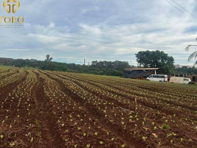 VENDA | Sítio, em Jardim Santo André, Londrina