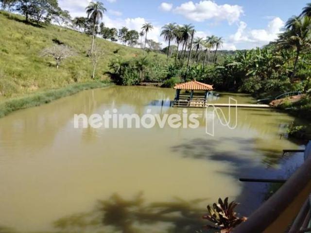 Venda Sítio Fazenda dos Palmares Jaboticatubas