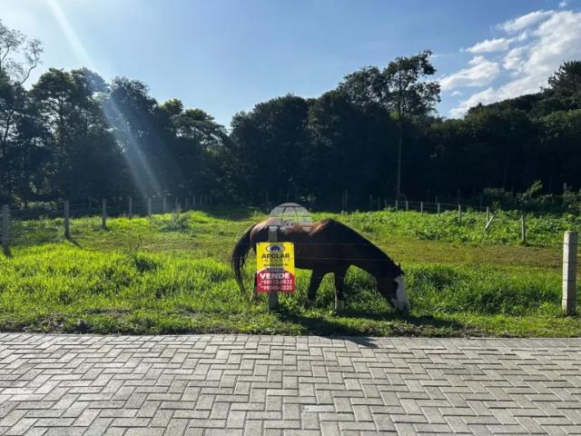 Vendas Terreno Almirante Tamandaré PR