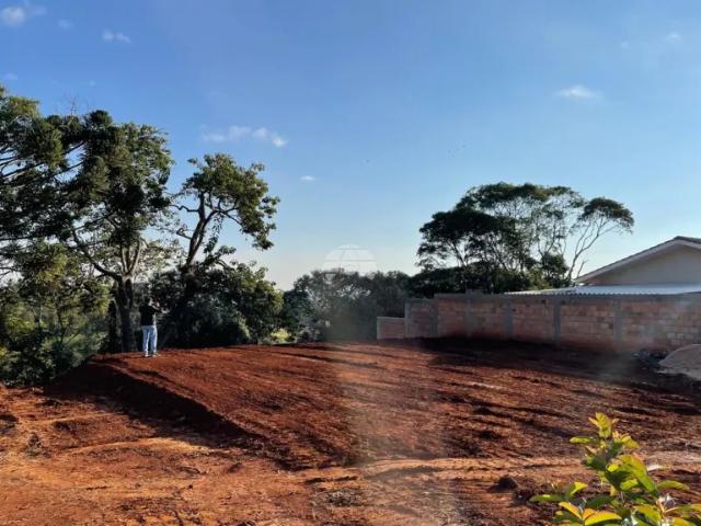 Vendas Terreno Pato Branco PR
