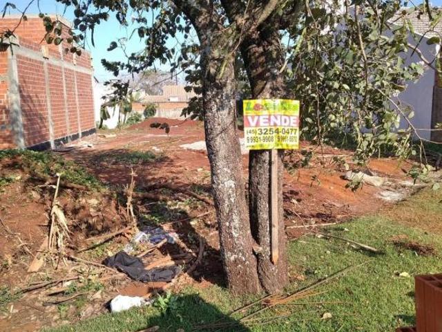 VENDE, TERRENO, LOTE, UNIVERSITÁRIO, LAGO, PORTO TONIN, INSS, ESCOLA, CRECHE, MARECHAL CÂNDIDO RONDO