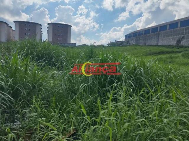 Vende Área Com 11,482 Mil Metros Atrás do Sakamoto Guarulhos