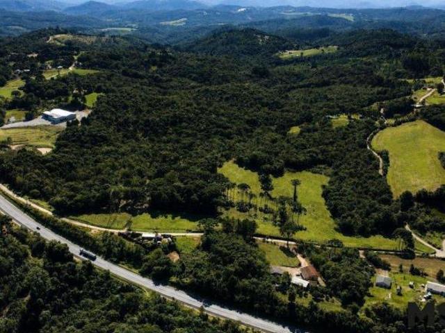 VENDE ÁREA INDUSTRIAL | 131.784m² | CAMPO LARGO