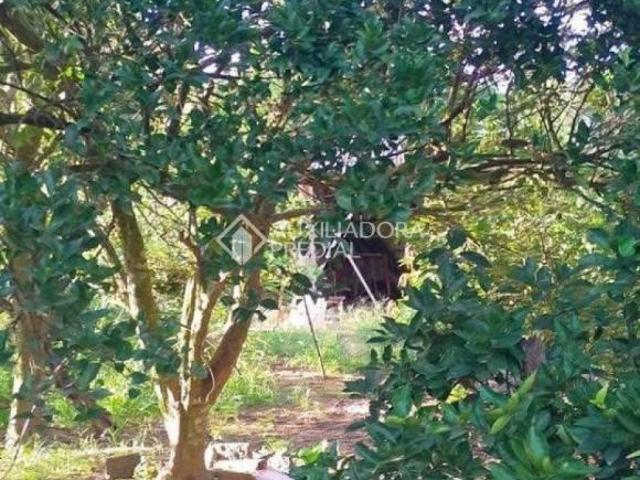 Vende casa Pátio incrivel com 502mt Bairro Vila Gledi Gravataí RS