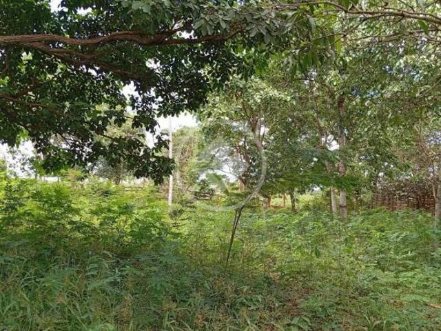 vende chácara na comunidade ninho das aguas em livramento