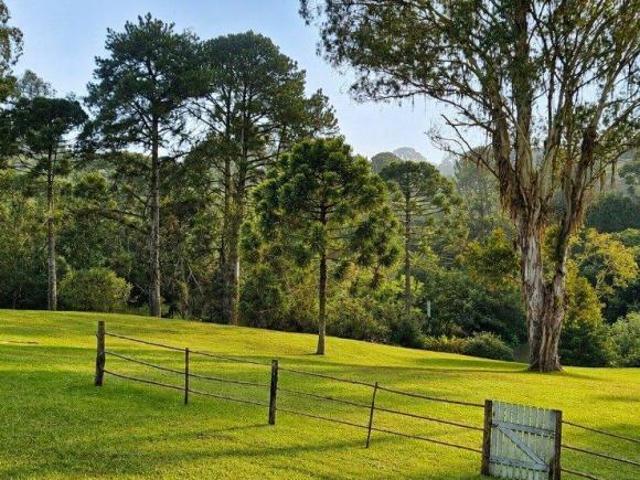 VENDE CHÁCARA | ROÇA VELHA | SÃO JOSÉ DOS PINHAIS