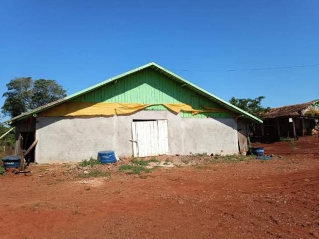 VENDE, COMPRA, CHÁCARA, SITIO, ÁREA, AVIÁRIOS, USADOS, LINHA, AJURICABA, MARECHAL CÂNDIDO RONDON PR
