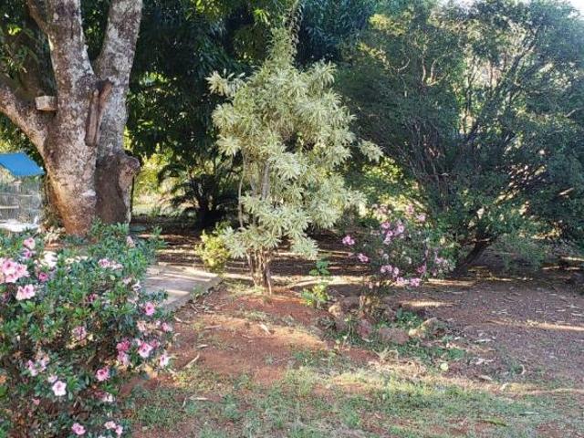 Vende se 01 chácara na Ponte Alta Gama