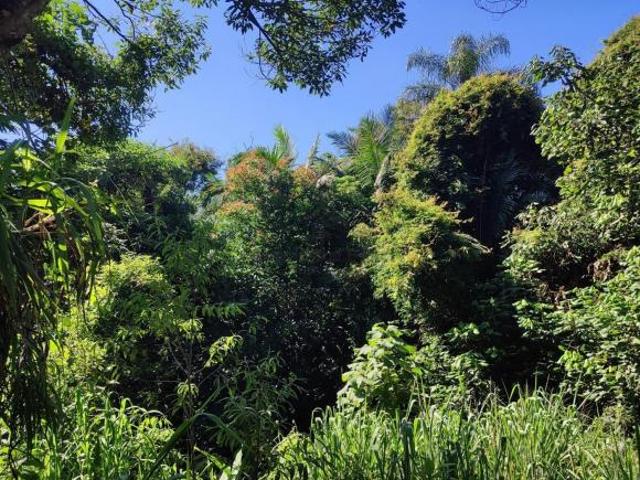 VENDE SE TERRENO NA SERRA DA CANTAREIRA – PRONTO PARA CONSTRUIR!