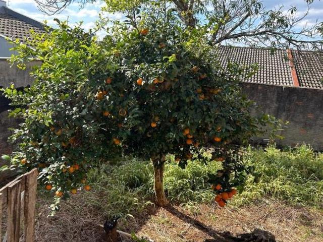 VENDE SE: TERRENO COM CASA DE PRÉ MOLDADO NO VIRMOND!