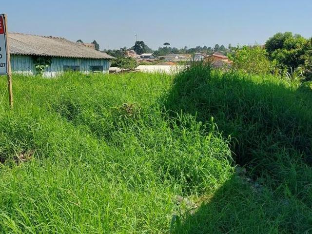 Vende se Terreno Comerciar Piraquara Planta Deodoro 613 m²