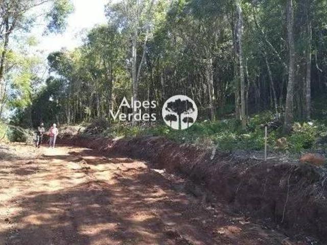VENDE SE TERRENO DE 2,22 HECTARES NA CIDADE DE GRAMADO, A 7 KM DA RUA COBERTA