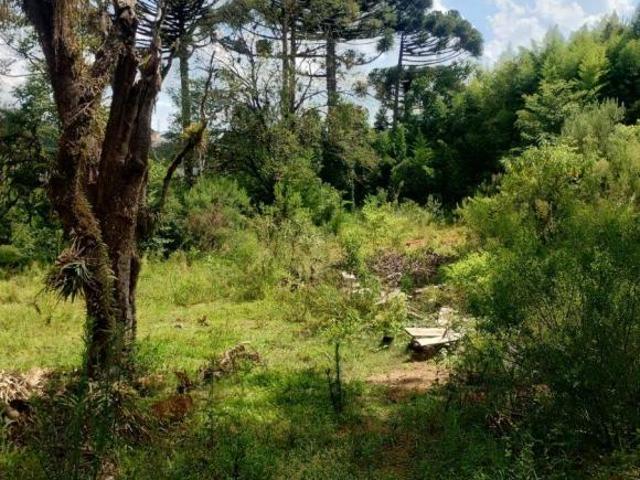 Vende se Terreno de 525 m² Planta Meireles Sobrinho Piraquara Pr