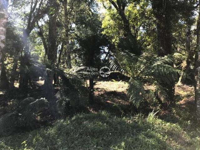 Vende se Terreno em Canela a cerca de 3 minutos da Catedral de Pedra