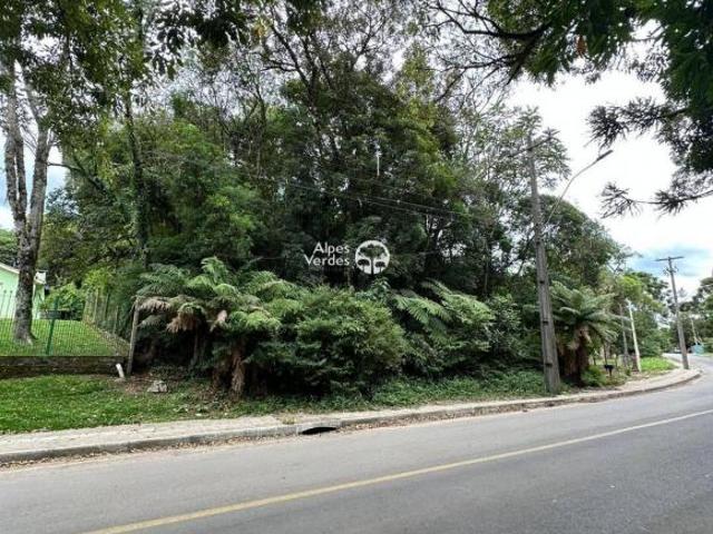 Vende se Terreno em Canela, Alpes Verdes, 904m²