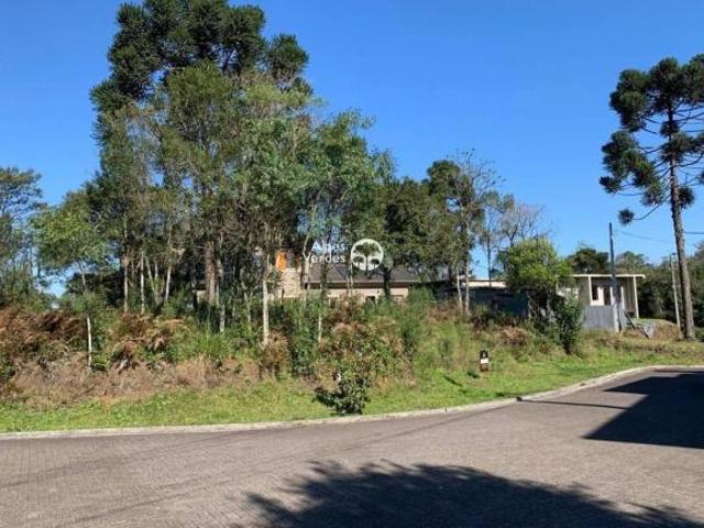 Vende se Terreno em Gramado, Carniel, 543.81 m²