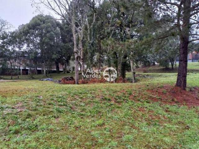 Vende se terreno em Gramado, Vivendas do Arvoredo, 464,82m²