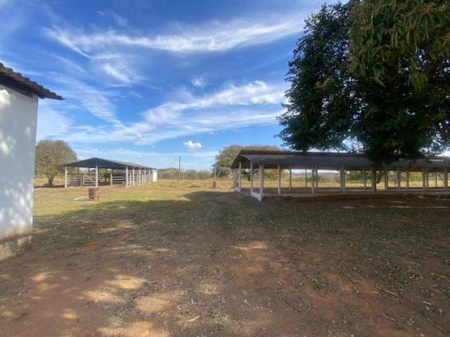Vende se terreno granja 60000 m2 Moema Mg 3 km da cidade