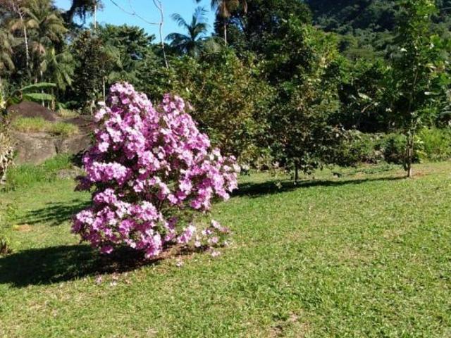 Vende se terreno perfeito para área de lazer