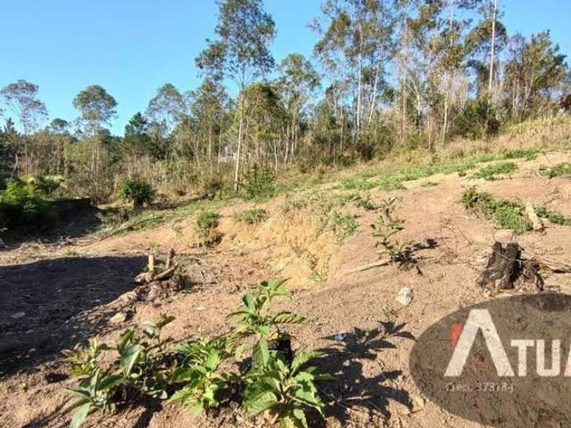 VENDE SE TERRENO 330M² OTIMA TOPOGRAFIA TERRA PRETA MAIRIPORÃ SP