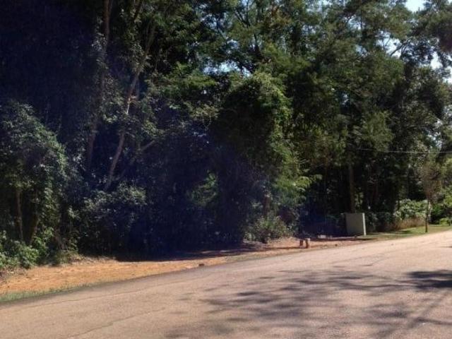 Vende se Terreno 5000m² no Cond Fazenda Campo Verde no Caxambu Jundiaí SP